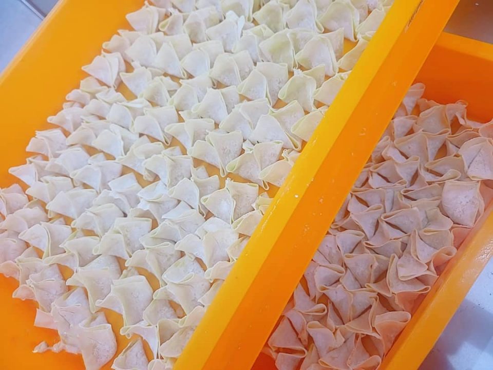 INSTANT CHICKEN WANTAN – Ambrosia Delicious